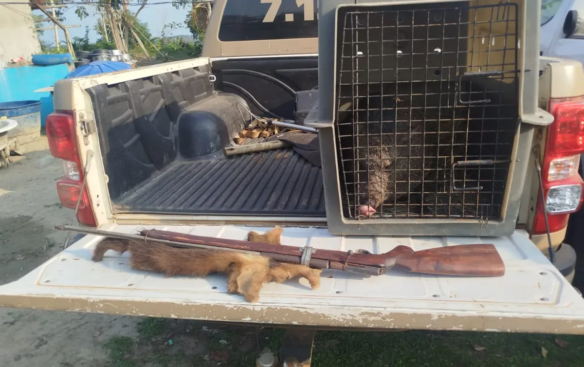 CIPPA/PS resgata animais silvestres em Acuipe do Meio em Ilhéus - Bahia ...