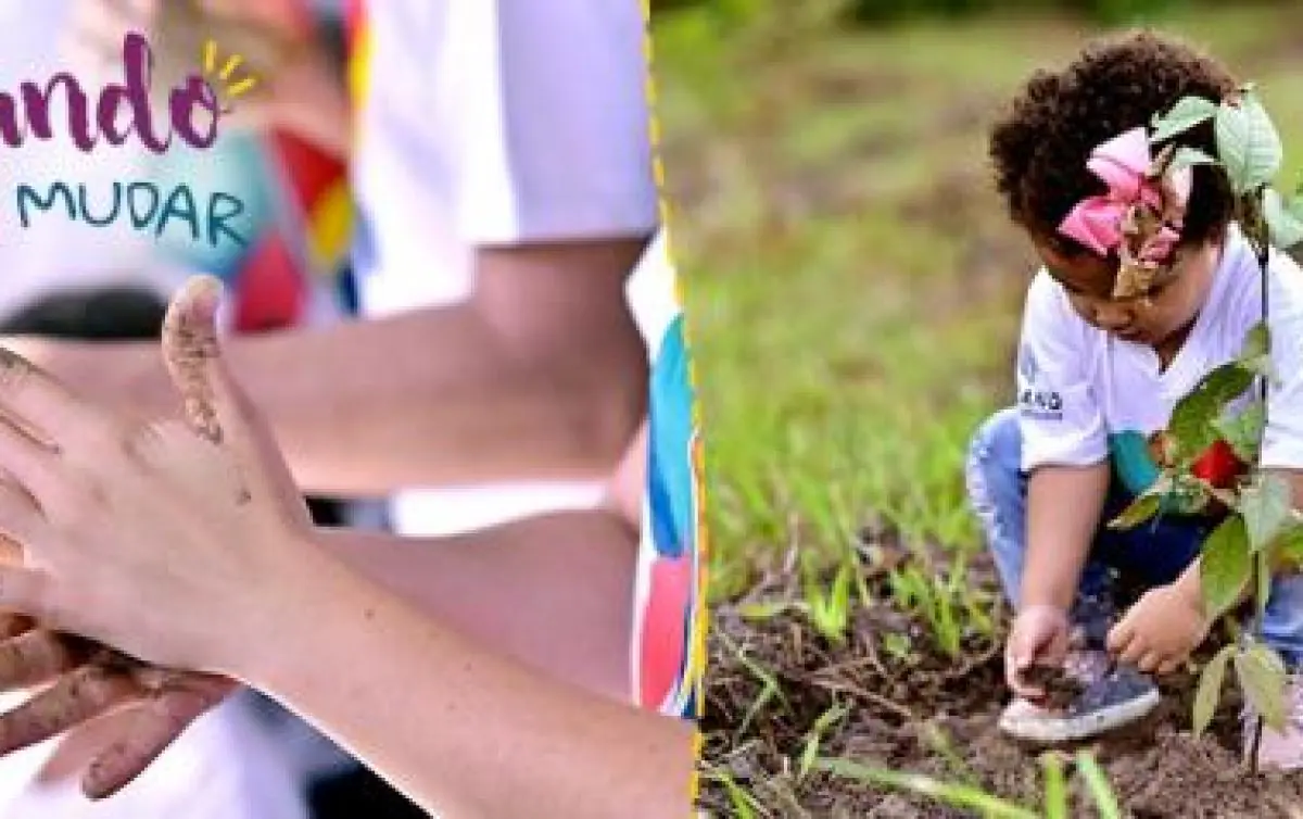 Projeto Nascentes do Mucuri lança série documental com histórias da ...