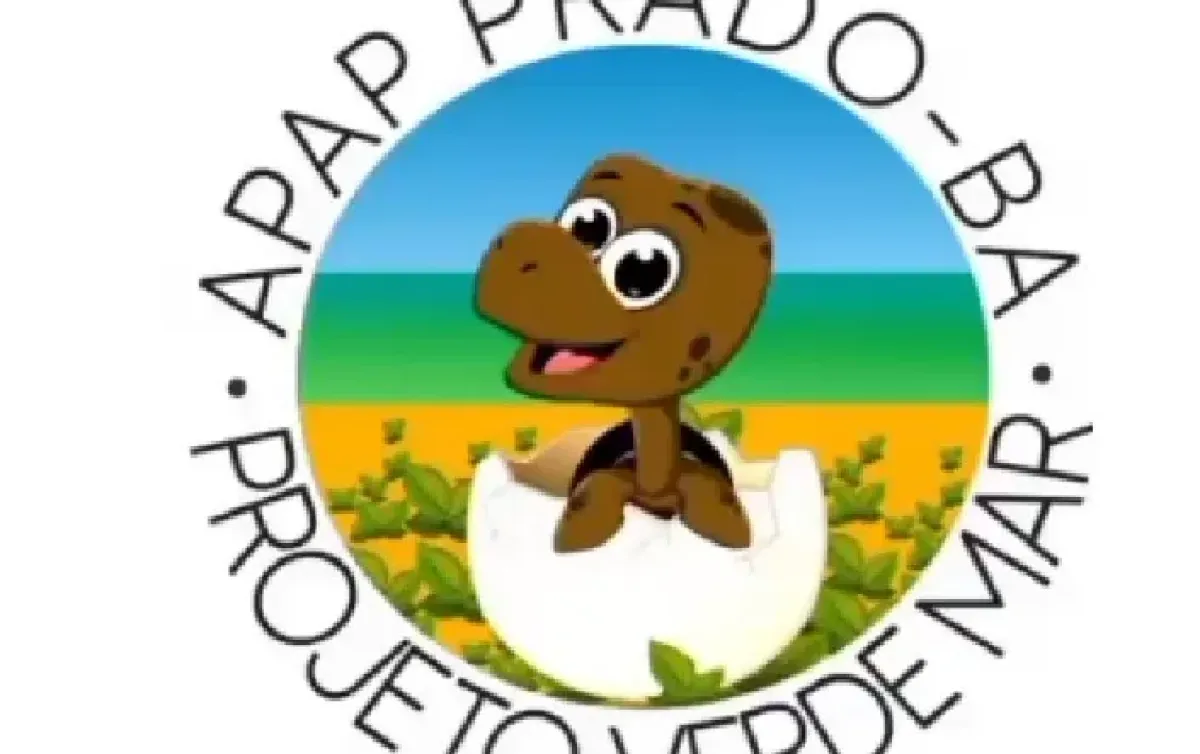 Projeto Verde Mar lamenta destruição de ninhos de tartarugas durante o ...